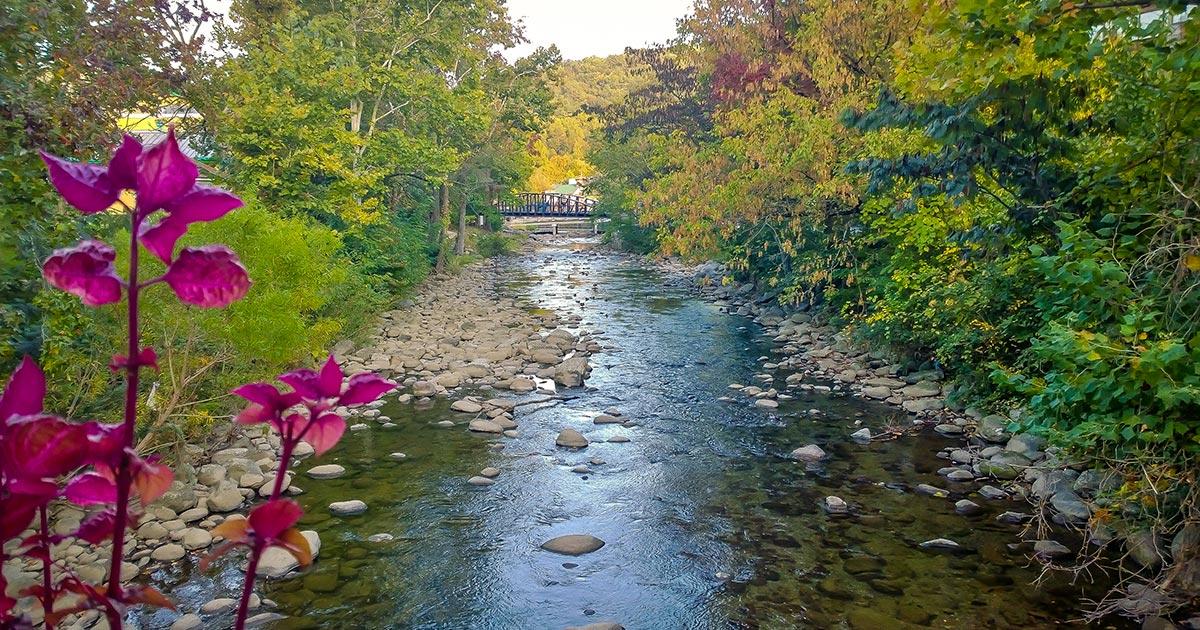 Westgate River Terrace - Attractions