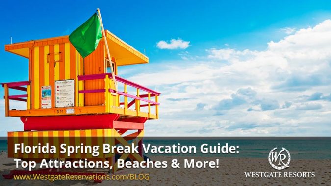 Florida Spring Break Vacation Guide | Top Attractions, Beaches & More!