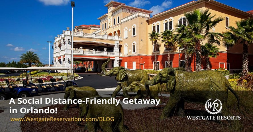 A Social Distance-Friendly Getaway in Orlando!