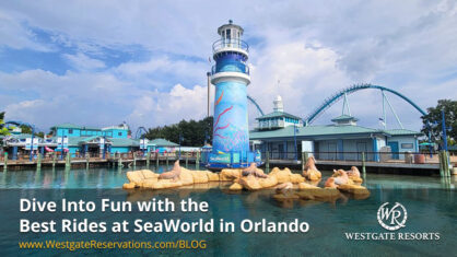 Dive Into Fun with the Best Rides at SeaWorld in Orlando