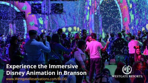 Reasons to Experience the Immersive Disney Animation in Branson